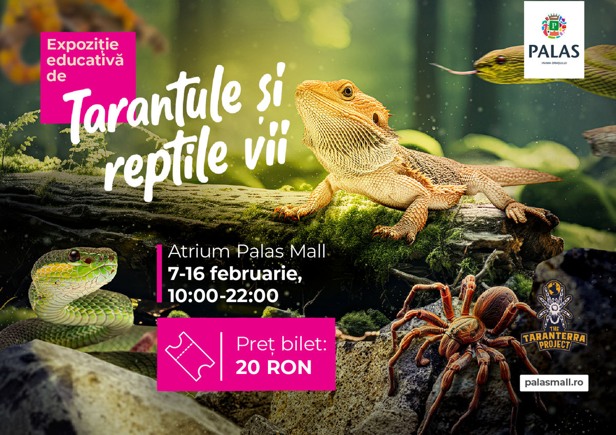 Bilete Iasi: Expozitie de Tarantule si Reptile Vii - Palas Mall Iași